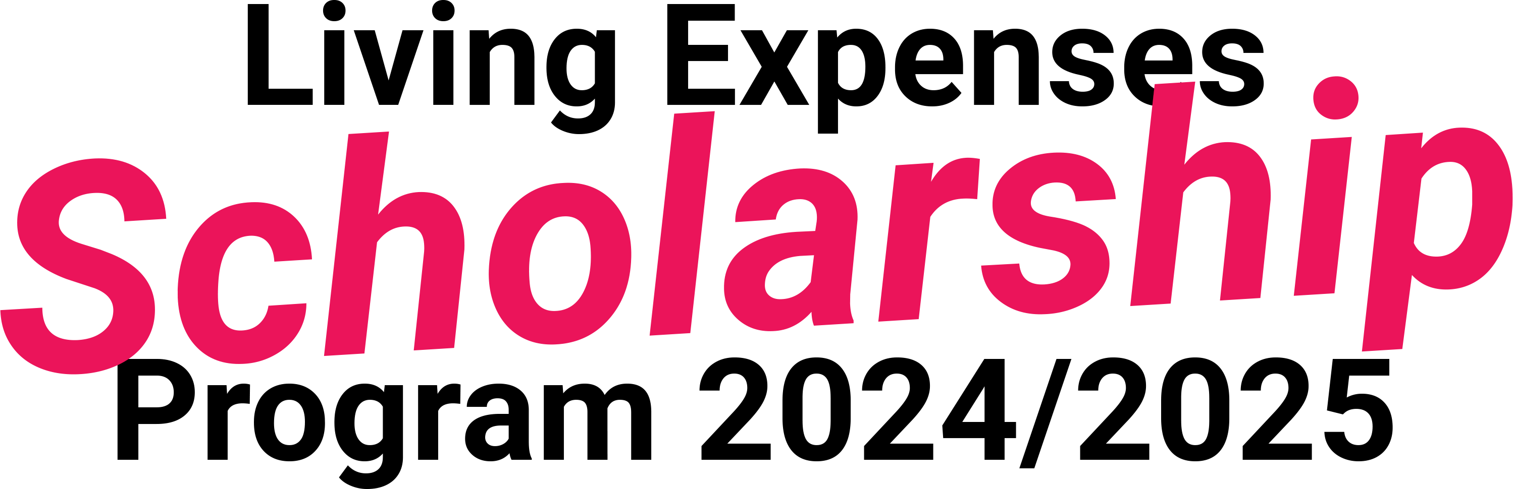 Symbol_LES-2024-2025 – Garcia Family foundation